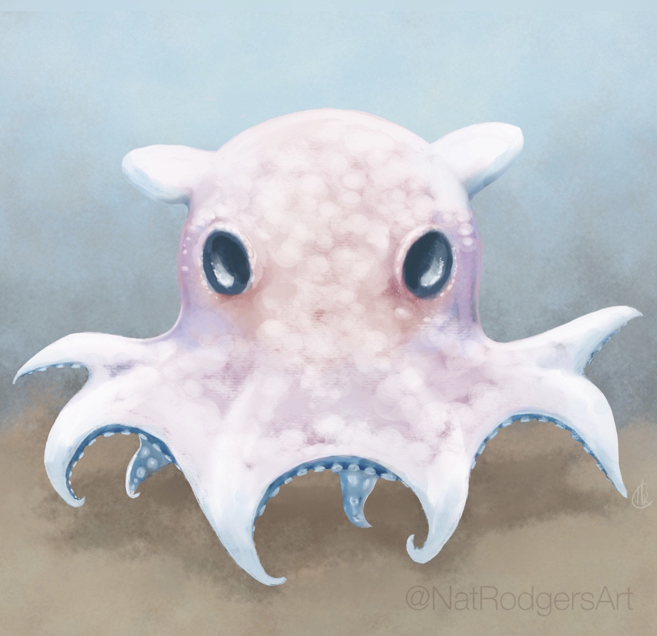 KIDSBOOKS | DUMBO THE OCTOPUS – Mahvash Mohtadullah